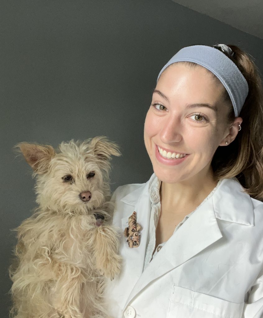 About Our Veterinary Hospital In Glenmoore, PA | Glenmoore Veterinary ...